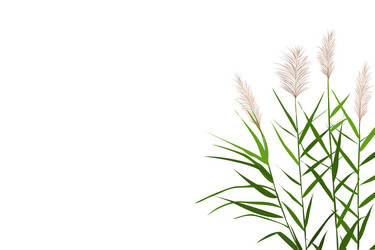 Marsh Logo Vector Images (over 460)