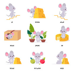 Little mouse and english language preposition for Vector Image