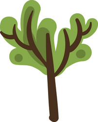 Brazil nut tree on a white background Royalty Free Vector