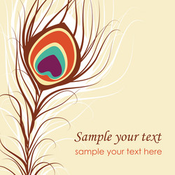Isolated peacock feathers for your design Vector Image