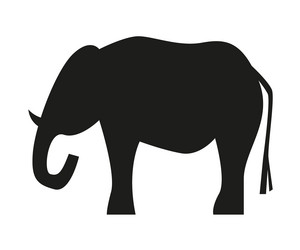 Elephant Shadow Vector Images (over 1,300)