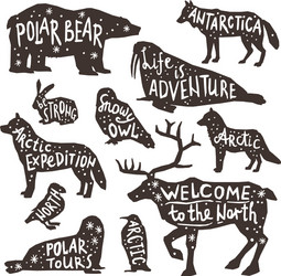 Polar Star Vector Images (over 2,400)