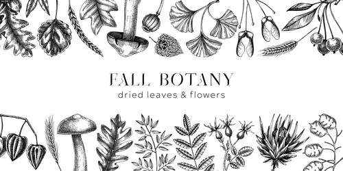Gum Leaf Borders Vector Images (57)