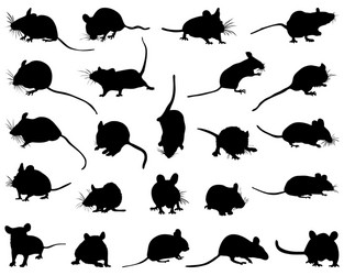 Set mouse design silhouette Royalty Free Vector Image