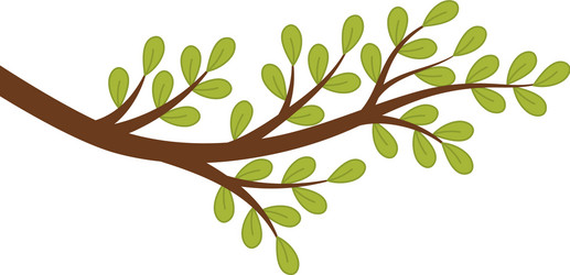 Tree branch Royalty Free Vector Image - VectorStock