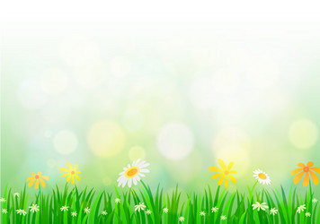 Spring floral border with colorful tulips on fresh