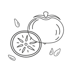 Outline of persimmons whole Royalty Free Vector Image