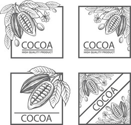 Cocoa packages pattern Royalty Free Vector Image