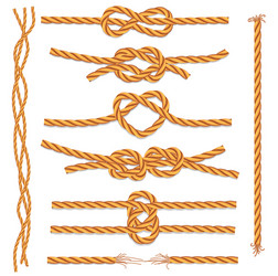 Nautical rope knots Royalty Free Vector Image - VectorStock