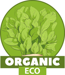 Spinach Logo Vector Images (over 680)