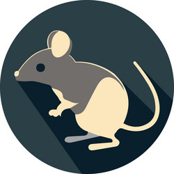 Mouse icon rat mice thin line symbols for web Vector Image