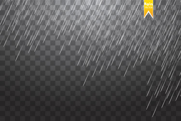 Rain transparent template background falling Vector Image