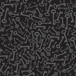 Skeleton key silhouette two Royalty Free Vector Image