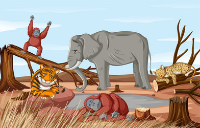 Dead Animals Cartoon