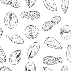 Nuts Outline Vector Images (over 10,000)