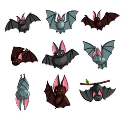 Cartoon bats collection set Royalty Free Vector Image