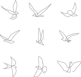 One line birds set hand drawn minimalism style Vector Image