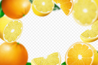 Citrus Background Vector Images (over 38,000)