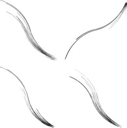 Organic weed grass like curvy wavy lines Vector Image