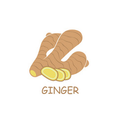 Ginger root cartoon Royalty Free Vector Image - VectorStock