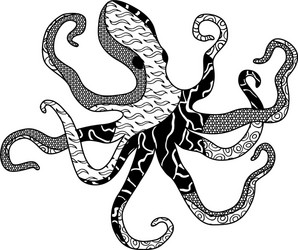 Feeler Octopus Cartoon Vector Images (over 160)
