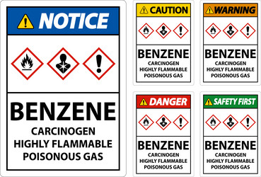 Flammable lpg symbol sign isolate on white Vector Image