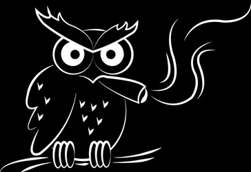 Rasta owl cartoon Royalty Free Vector Image - VectorStock