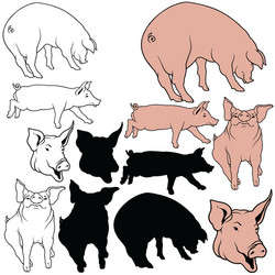 Pigs set Royalty Free Vector Image - VectorStock