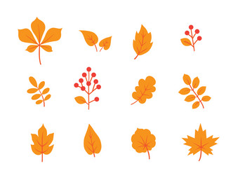 Simple autumn leaf symbol graphic design template Vector Image