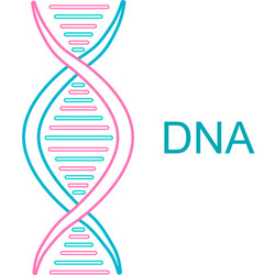 Dna genetic sign Royalty Free Vector Image - VectorStock