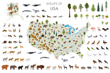 Animals world big collection Royalty Free Vector Image