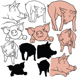 Pigs set Royalty Free Vector Image - VectorStock
