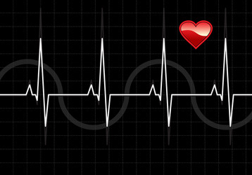 Electrocardiogram Royalty Free Vector Image - VectorStock