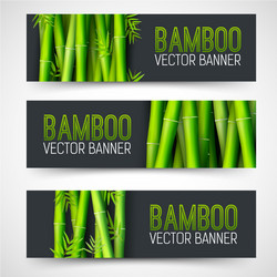 Bamboo banners concept intage art traditional Vector Image