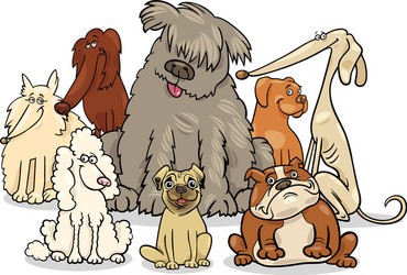 Purebred dogs group cartoon Royalty Free Vector Image