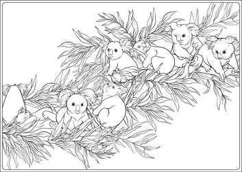 Koala and eucalyptus coloring page for adult Vector Image