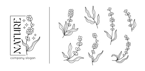 Lavender Line Vector Images (over 2,700)