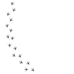 Turkey Tracks Vector Images (over 180)