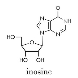 Trna Vector Images (17)