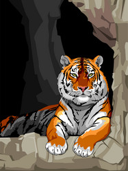 Tiger sleeping in front of the cave Royalty Free Vector