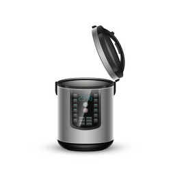 Automatic multi cooker and pressure cooker Vector Image