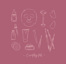 Face care tools collection light brown Royalty Free Vector