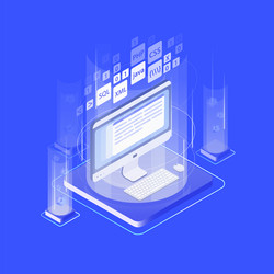 Computer programming coding testing debugging Vector Image