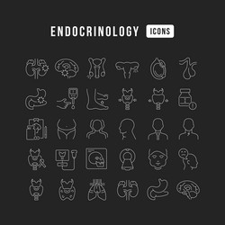 Set of linear icons endocrinology Royalty Free Vector Image