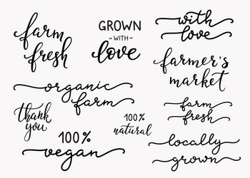 Farm fresh hand written lettering calligraphy Vector Image