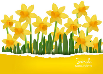 Plain Yellow Background Vector Images (over 1,700)