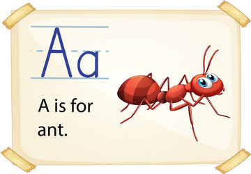 Ant Flashcard Vector Images (77)