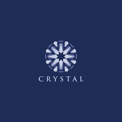 Crystal diamond logo design - modern ornament Vector Image