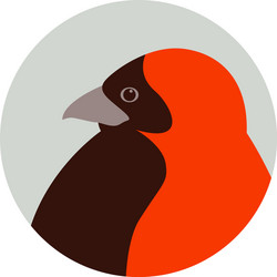 Red Bishop Bird Vector Images (15)