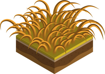 Grass soil tile layers isometric Royalty Free Vector Image